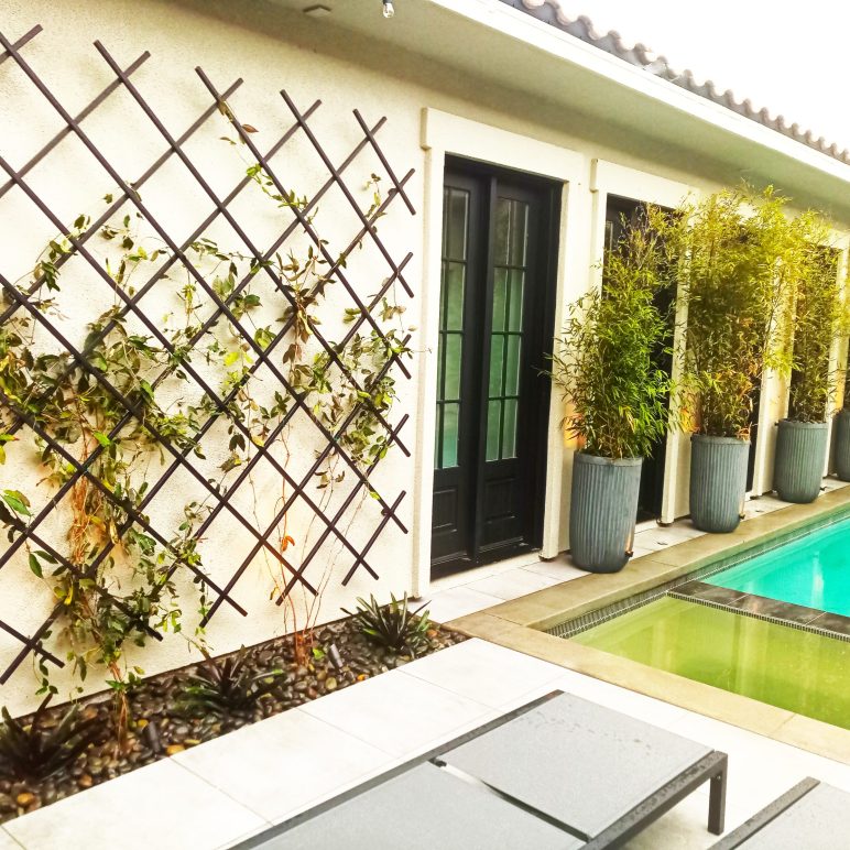 Metal Trellises are Best - Pathmark Fabrication