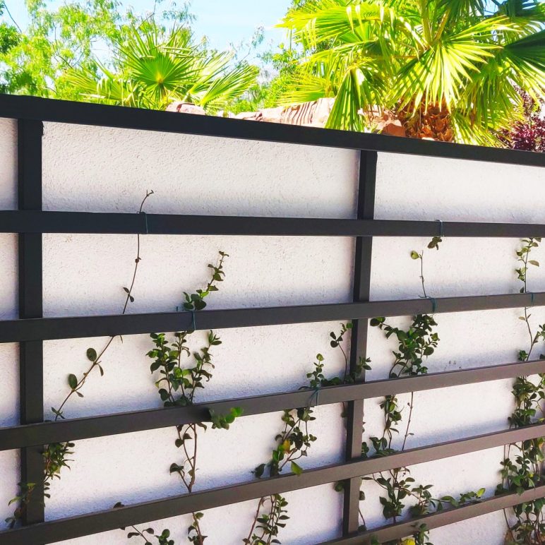 Metal Trellises are Best - Pathmark Fabrication